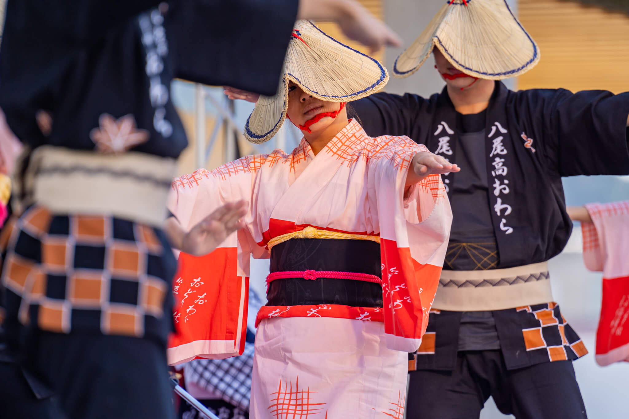 【写真】北陸グルメイベント1日目(おわら・勝山左義長・加賀鳶他) in 氷見市芸術文化館（2024/11/3）|VR:北陸